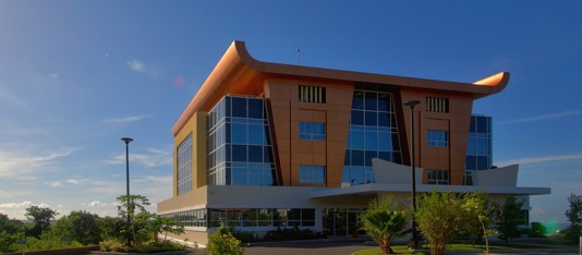 The UWI Medical Alumni Association (UWIMAA) Update | February 2023